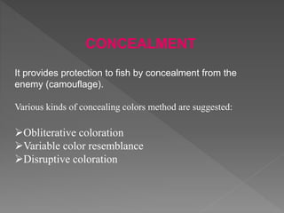 COLORATION IN FISHES: its Regulation and significance by GAZEE OWAIS | PPTX