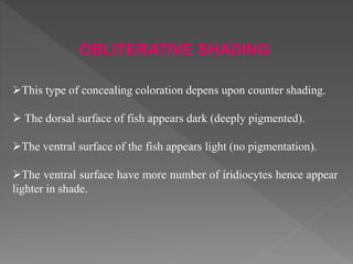 COLORATION IN FISHES: its Regulation and significance by GAZEE OWAIS | PPTX