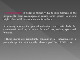 COLORATION IN FISHES: its Regulation and significance by GAZEE OWAIS | PPTX
