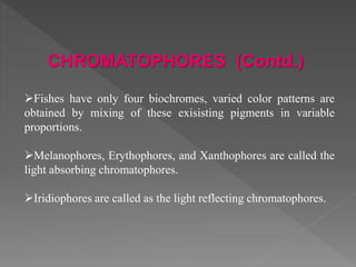 COLORATION IN FISHES: its Regulation and significance by GAZEE OWAIS | PPTX