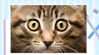 Interpreting the meaning of suggested visual media through a focus on ...