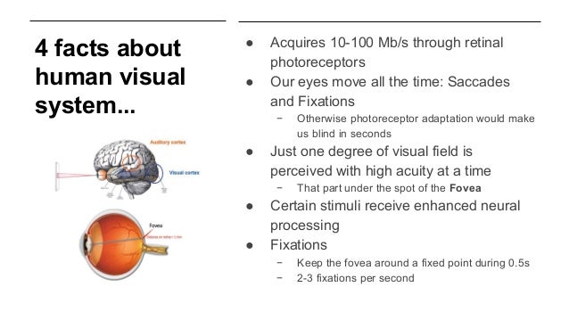 Visual Perception Analysis with GazeHits