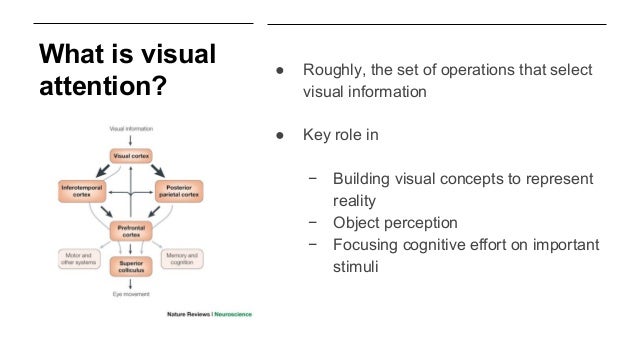 Visual Perception Analysis with GazeHits