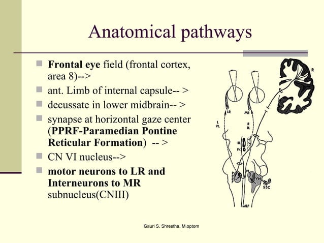 Gaze shifting & gaze holding ocular motor functions | PPT