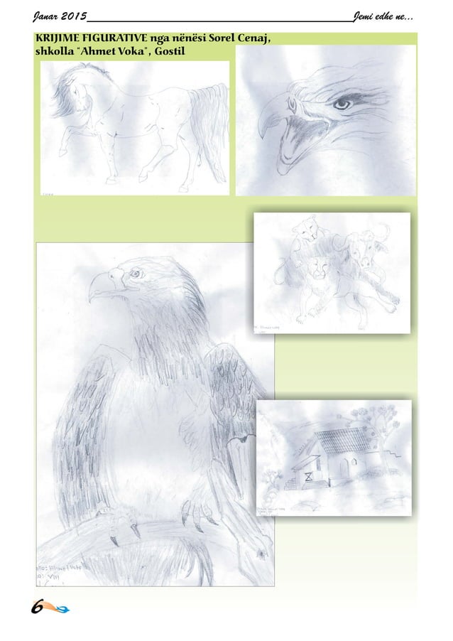 Gazeta jemi edhe ne Numri 50 Janar 2015 | PDF