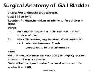 CHOLECYSTITIS & CHOLECYSTECTOMY - Dr Rohit Bhaskar | PDF