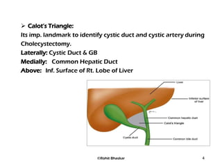 CHOLECYSTITIS & CHOLECYSTECTOMY - Dr Rohit Bhaskar | PDF