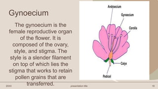 Reproduction and Development | PPTX | Infertility | Reproductive Health