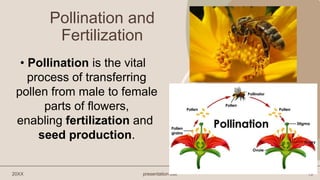 Reproduction and Development | PPTX