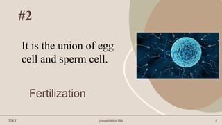 Reproduction and Development | PPTX