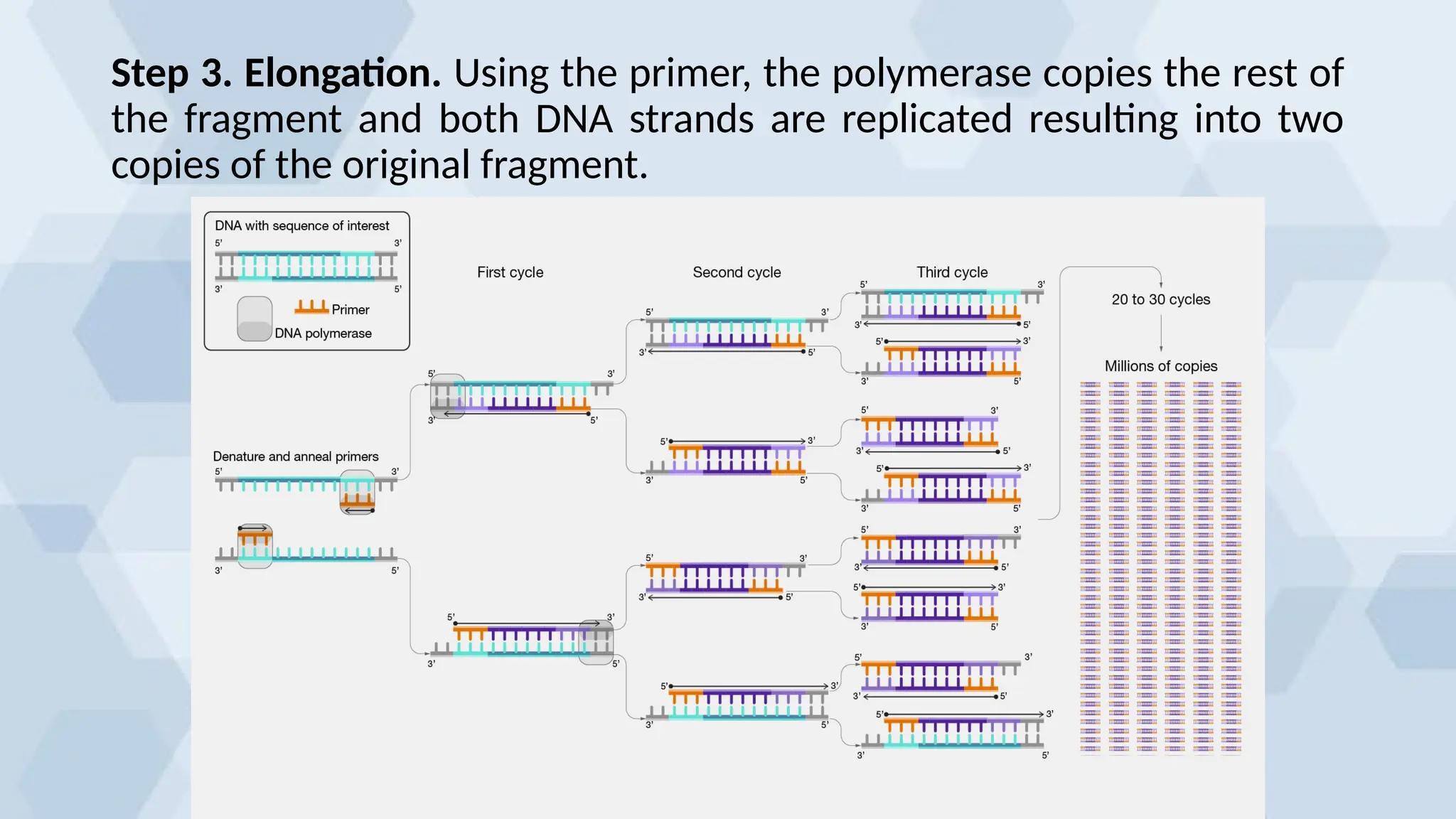 processes of genetic engineering powerpoint presentation | PPTX