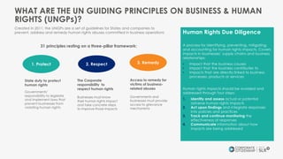 Transforming Your Supply Chain to Prioritize Human Rights - Piya ...