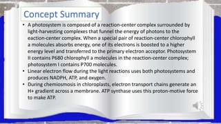 GB2 Intro to Photosynthesis.pptx