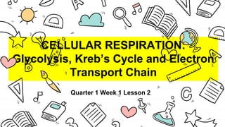 GB2 W1L2 Cellular Respiration for pdf.pptx