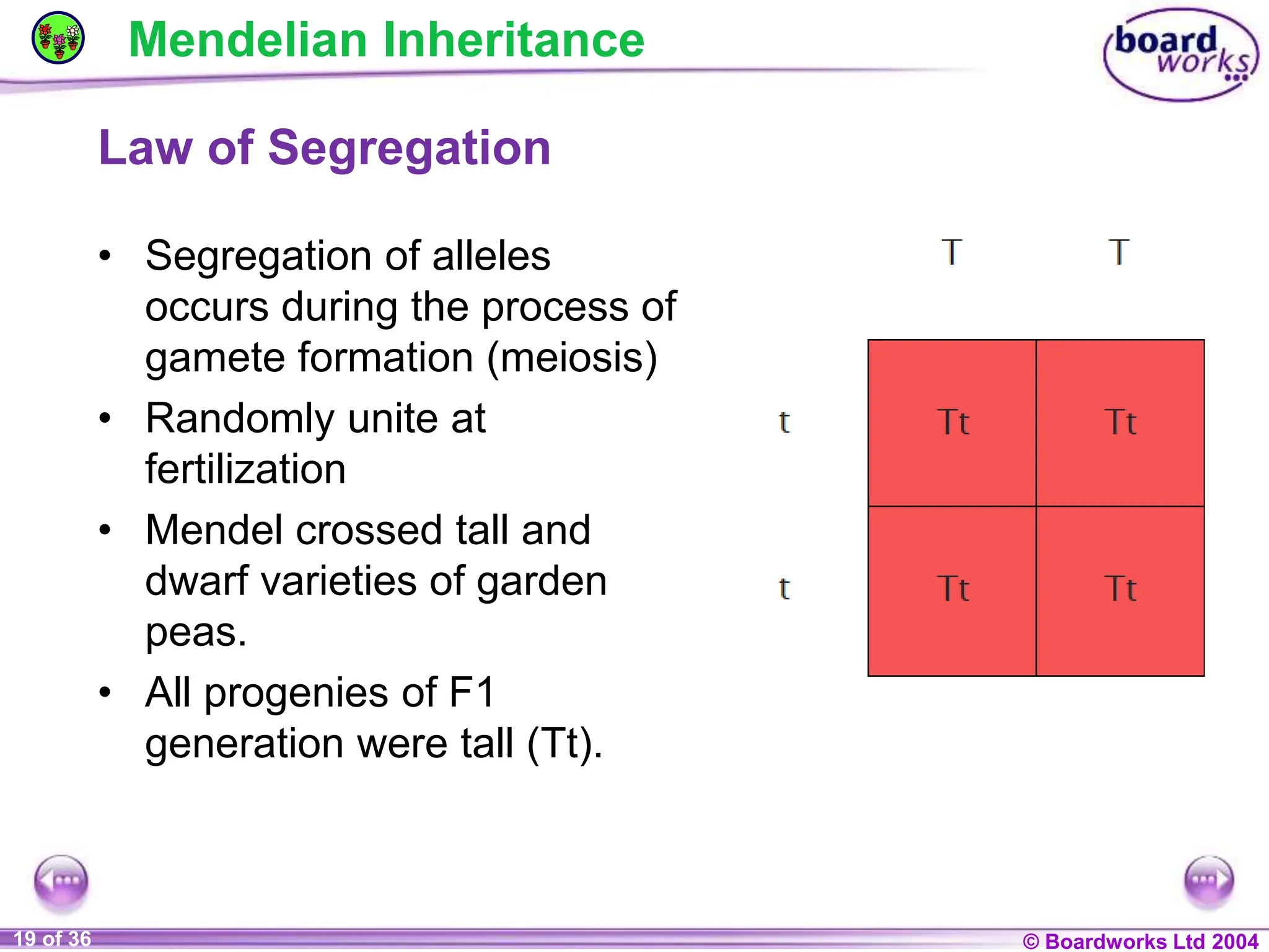General Biology 2 W3L3 Inheritance and Variations.ppt