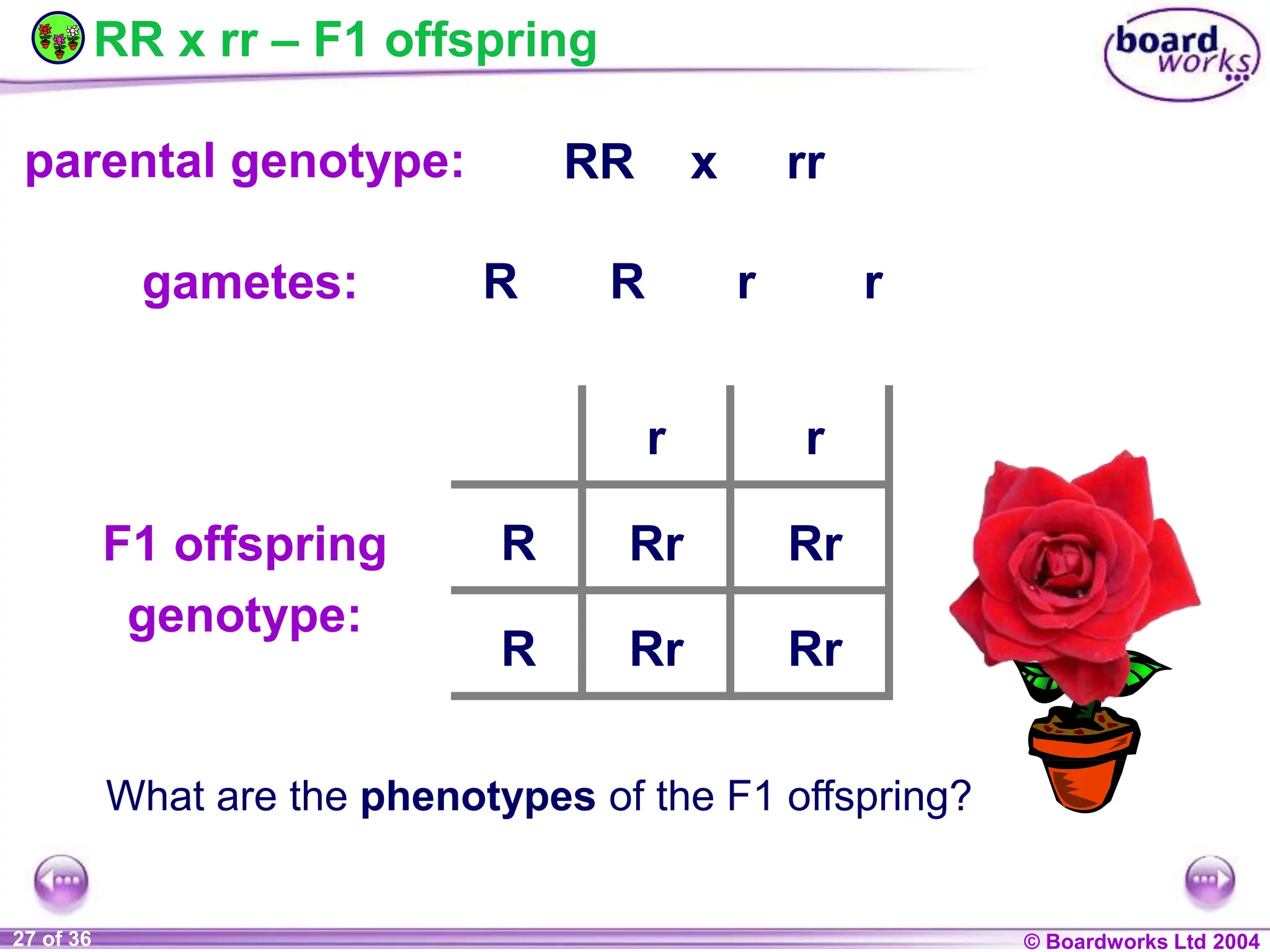 General Biology 2 W3L3 Inheritance and Variations.ppt