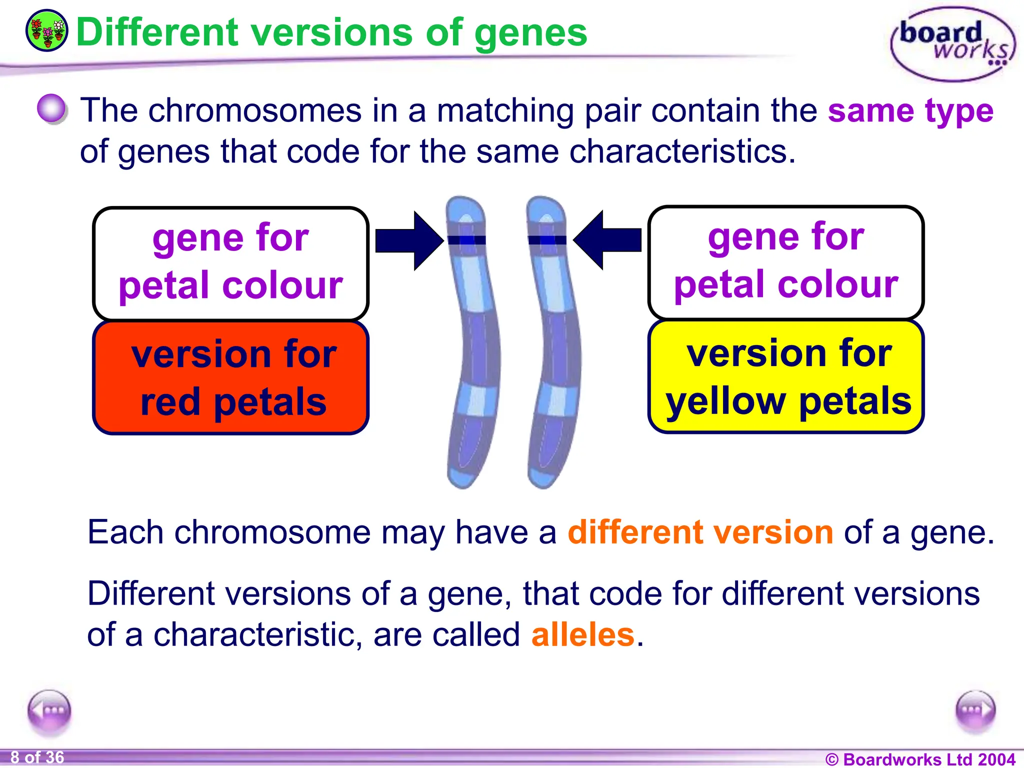 General Biology 2 W3L3 Inheritance and Variations.ppt