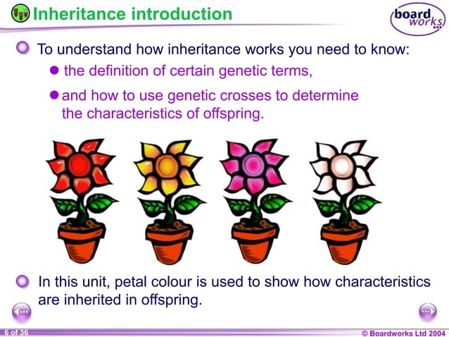 General Biology 2 W3L3 Inheritance and Variations.ppt