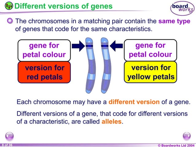 General Biology 2 W3L3 Inheritance and Variations.ppt