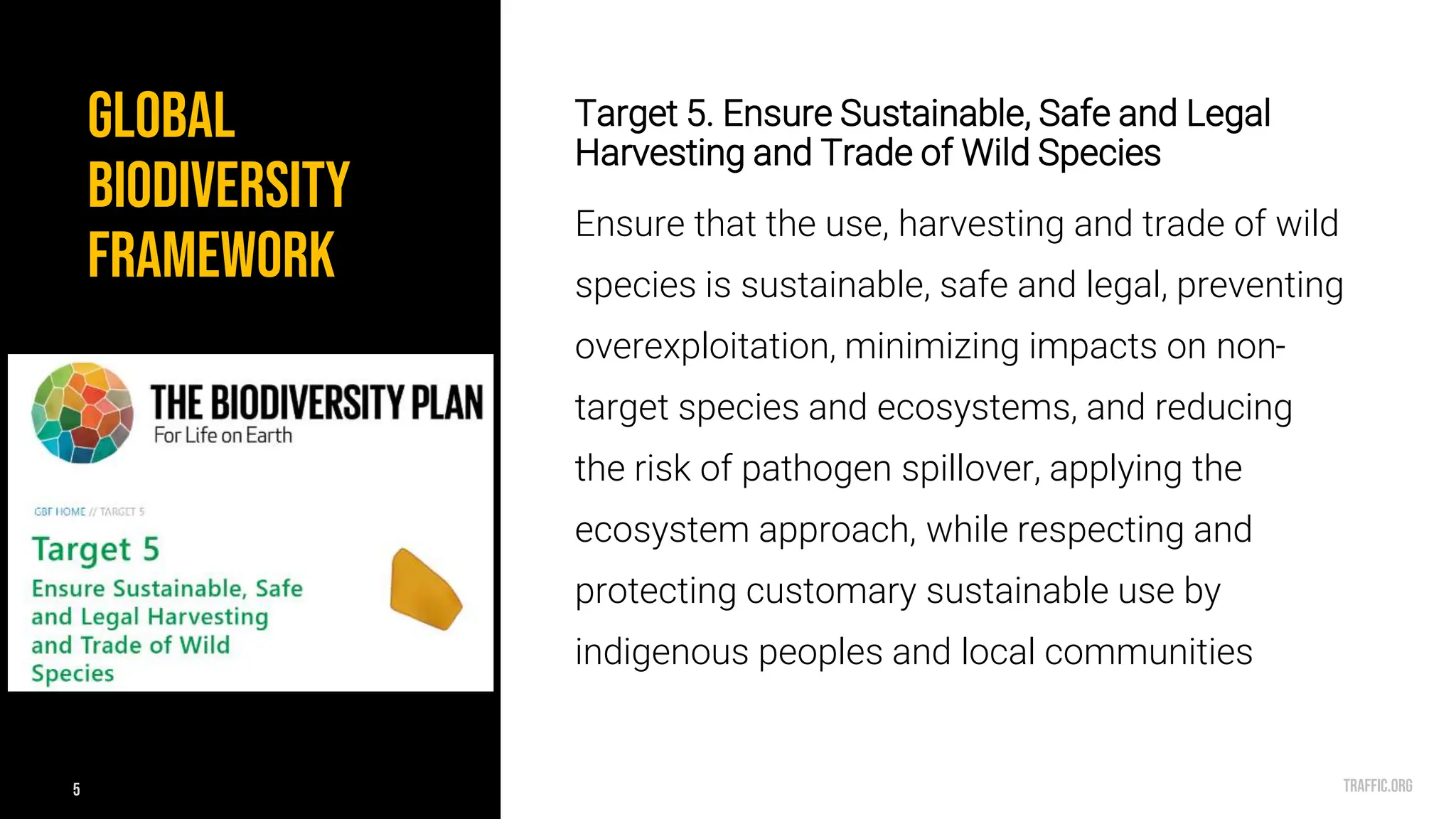 Sustainable use of wild species: Target 5 of the global biodiversity ...