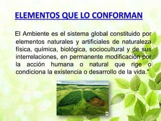 EL MEDIO AMBIENTE | PPTX