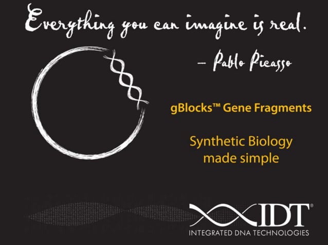 Beyond Cloning: 101 Uses of Synthetic, High-Fidelity, Double-Stranded ...