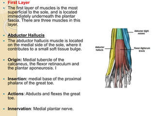 Muscles_of_the_Leg_and_foot.pptx