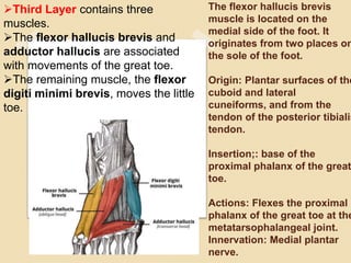Muscles_of_the_Leg_and_foot.pptx
