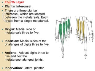 Muscles_of_the_Leg_and_foot.pptx