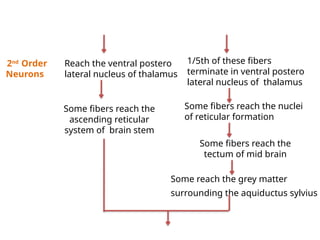 GB_Pain pathway & Modern theories of Acupuncture | PPTX