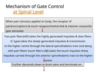 GB_Pain pathway & Modern theories of Acupuncture | PPTX