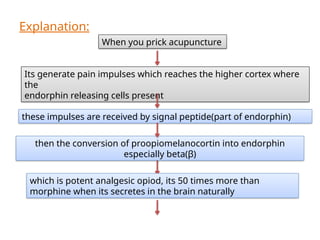 GB_Pain pathway & Modern theories of Acupuncture | PPTX