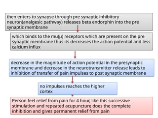 GB_Pain pathway & Modern theories of Acupuncture | PPTX