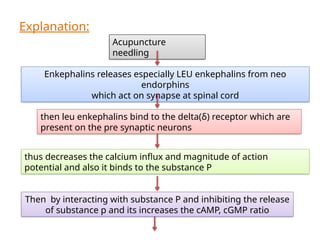 GB_Pain pathway & Modern theories of Acupuncture | PPTX