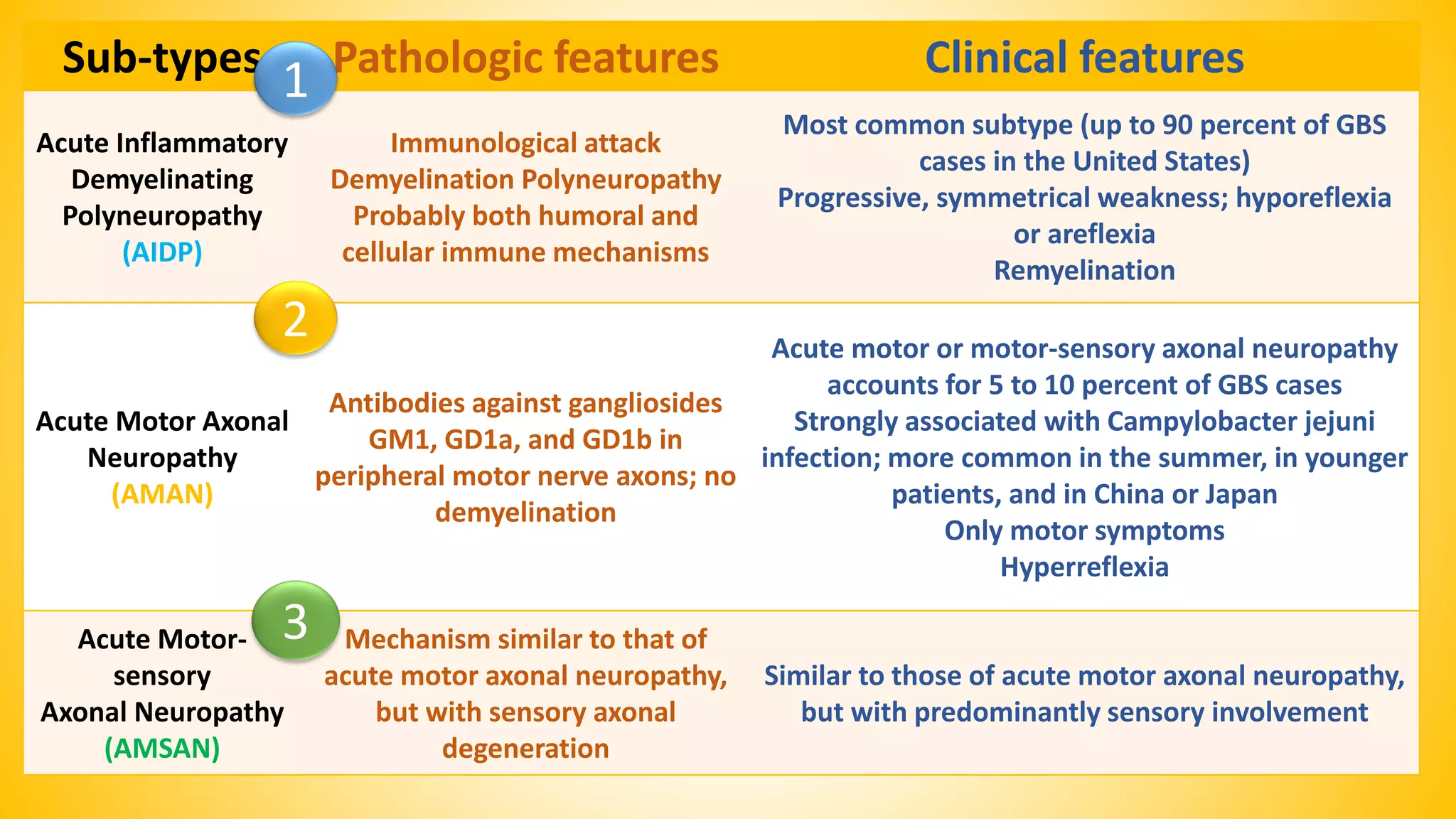 Guillain-Barré Syndrome (GBS).pdf
