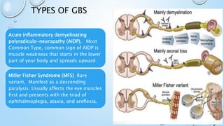 Guillain Barre syndrome (GBS) in brief PPT | PPTX | Physical Therapy ...