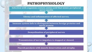 Guillain Barre syndrome (GBS) in brief PPT | PPTX