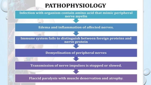 Guillain Barre syndrome (GBS) in brief PPT | PPTX | Physical Therapy ...