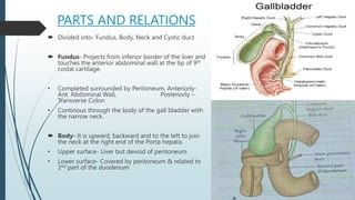 Gall bladder stone disease surgical perspective | PPTX