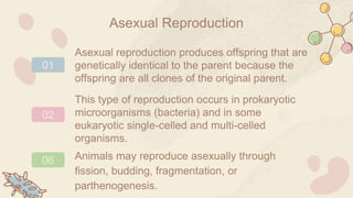GB W10Lesson10 Intro to Reproduction.pptx