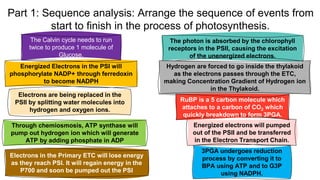 GB W1L1&2 photosynthesis & Cellular respiration.pptx