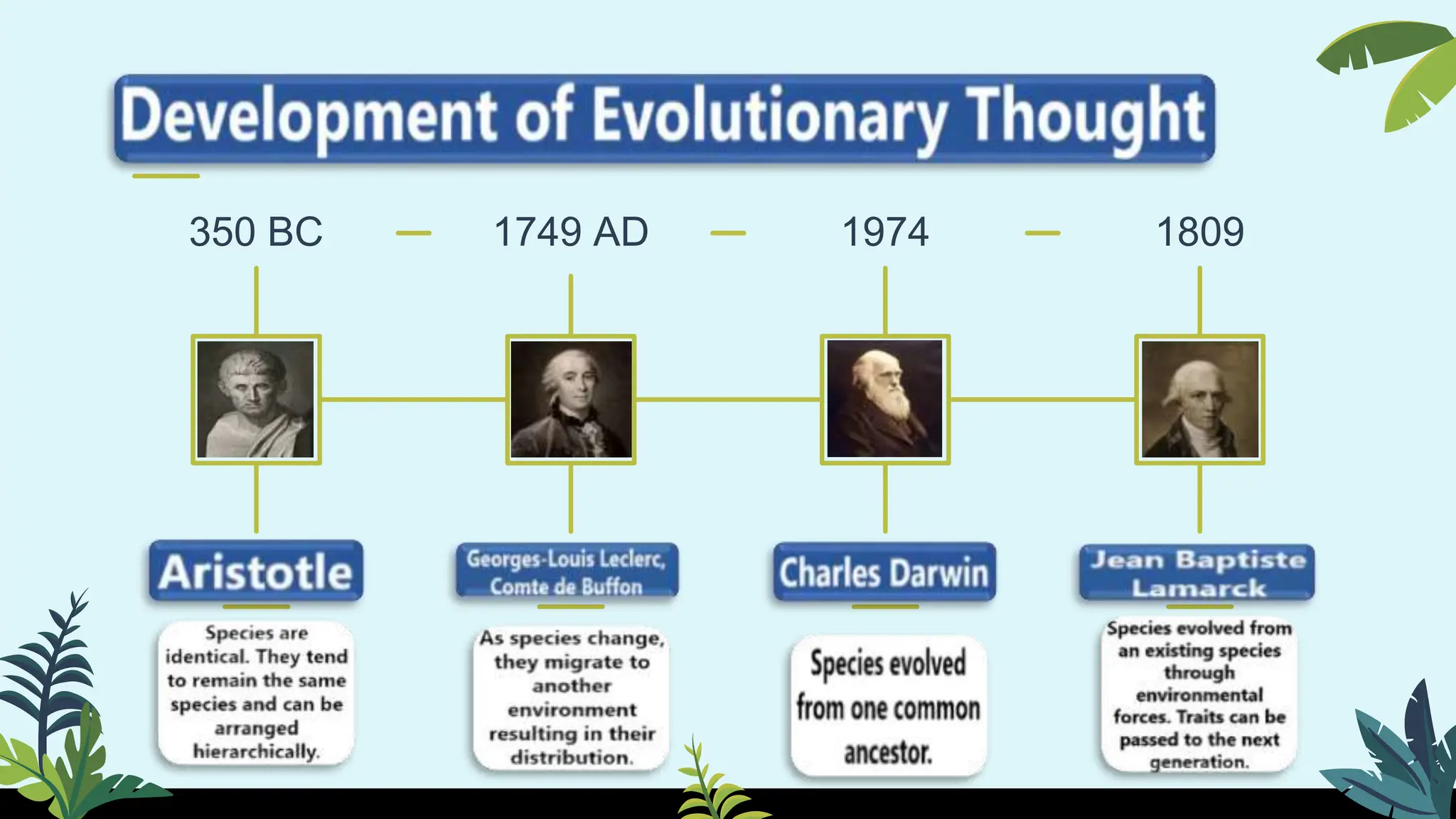 GB W6L6 Mechanisms of Evolution.pptx