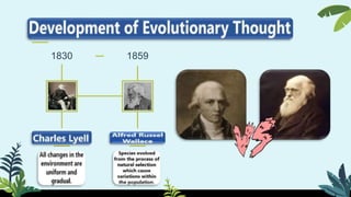 GB W6L6 Mechanisms of Evolution.pptx