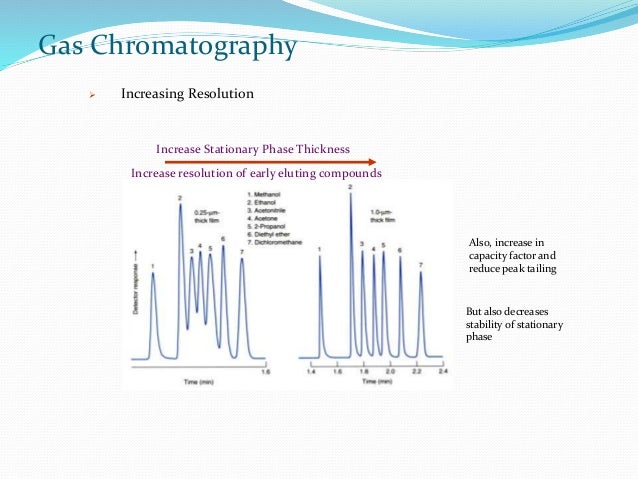 Gas chromatograph analyzer