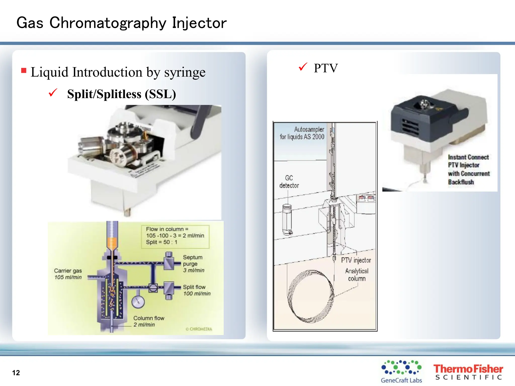 Gas Chromatography Thermo Fisher Scientific | PDF
