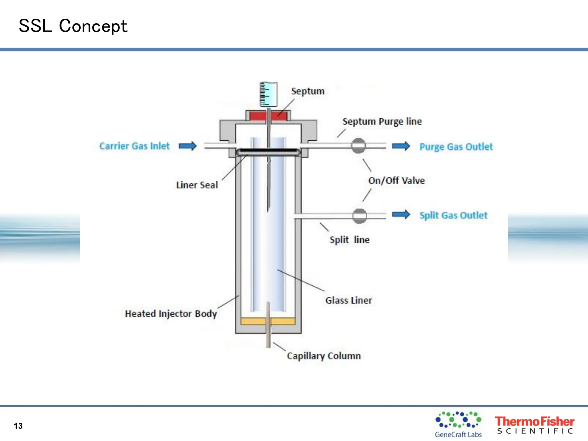 Gas Chromatography Thermo Fisher Scientific | PDF