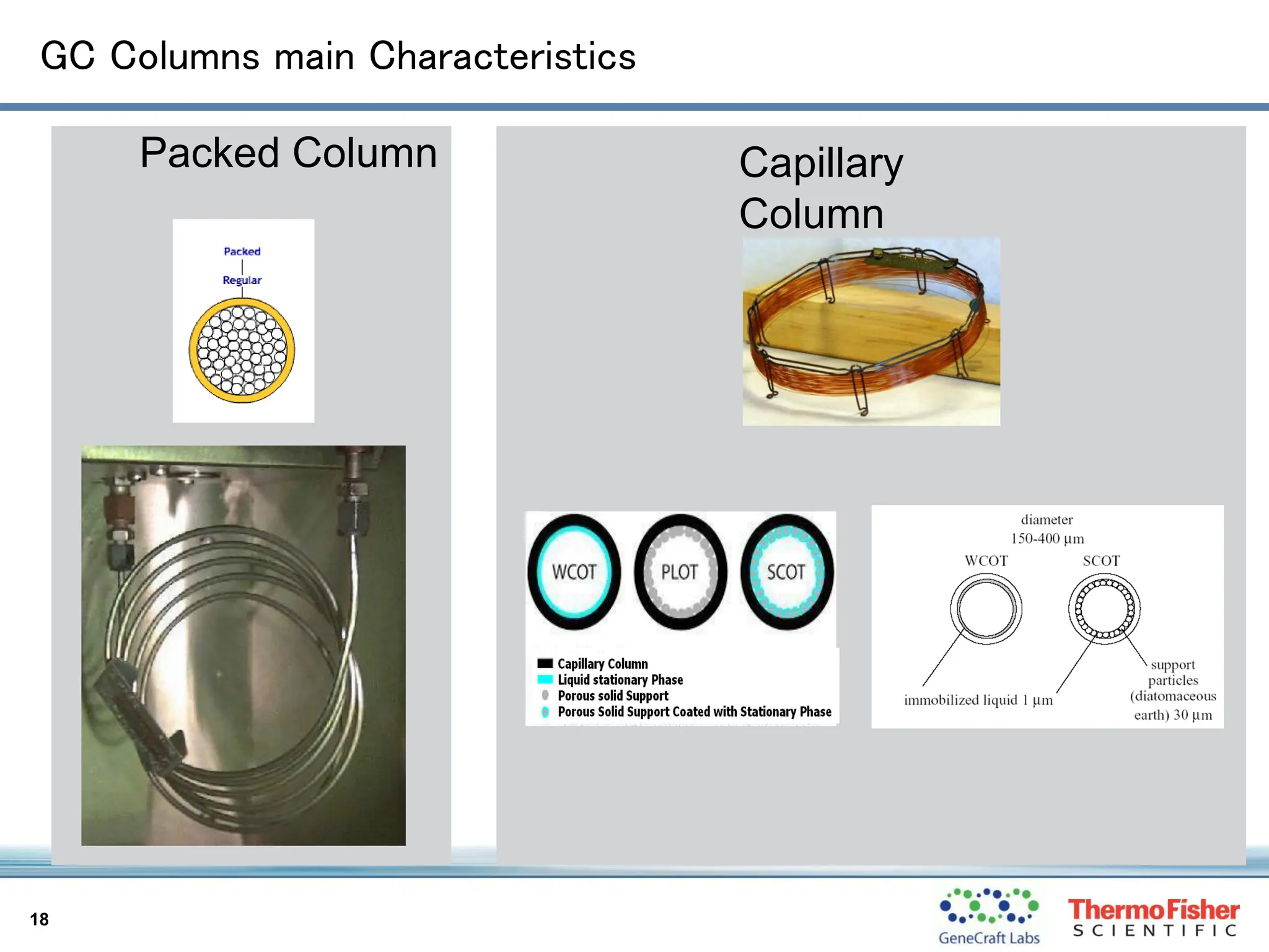 Gas Chromatography Thermo Fisher Scientific | PDF
