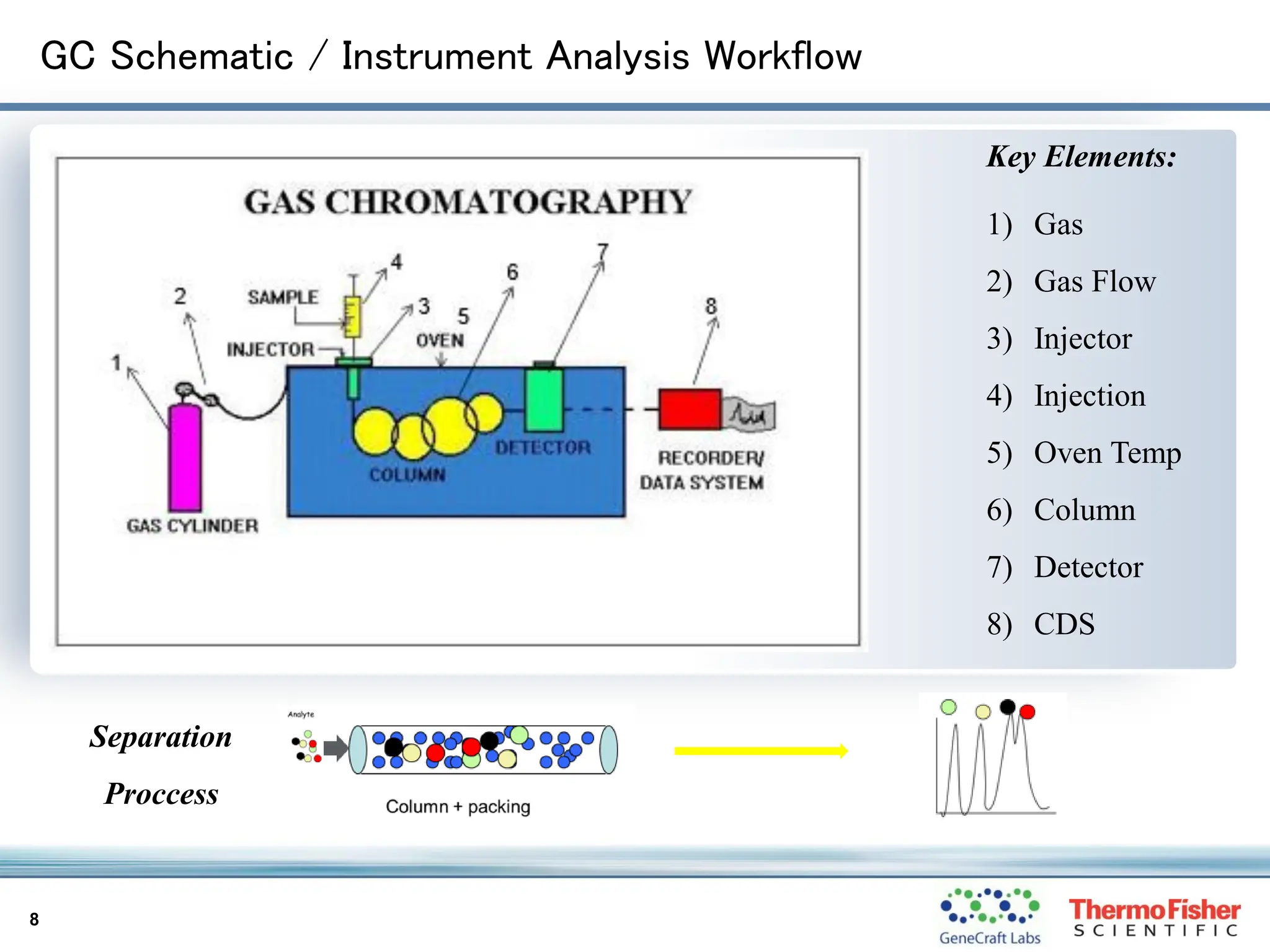 Gas Chromatography Thermo Fisher Scientific | PDF