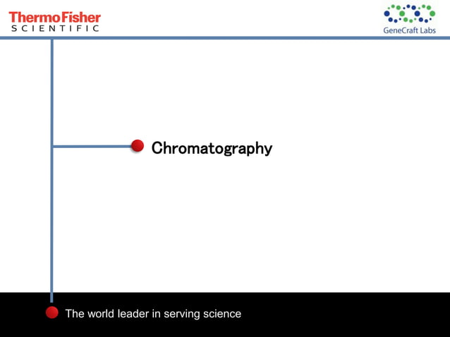 Gas Chromatography Thermo Fisher Scientific | PDF