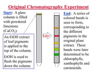 principle and application of gas chromatography.ppt